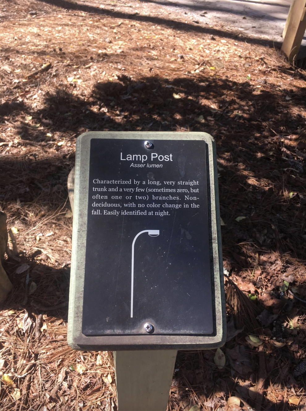 37 Hilarious Photos Of People Learning New Things