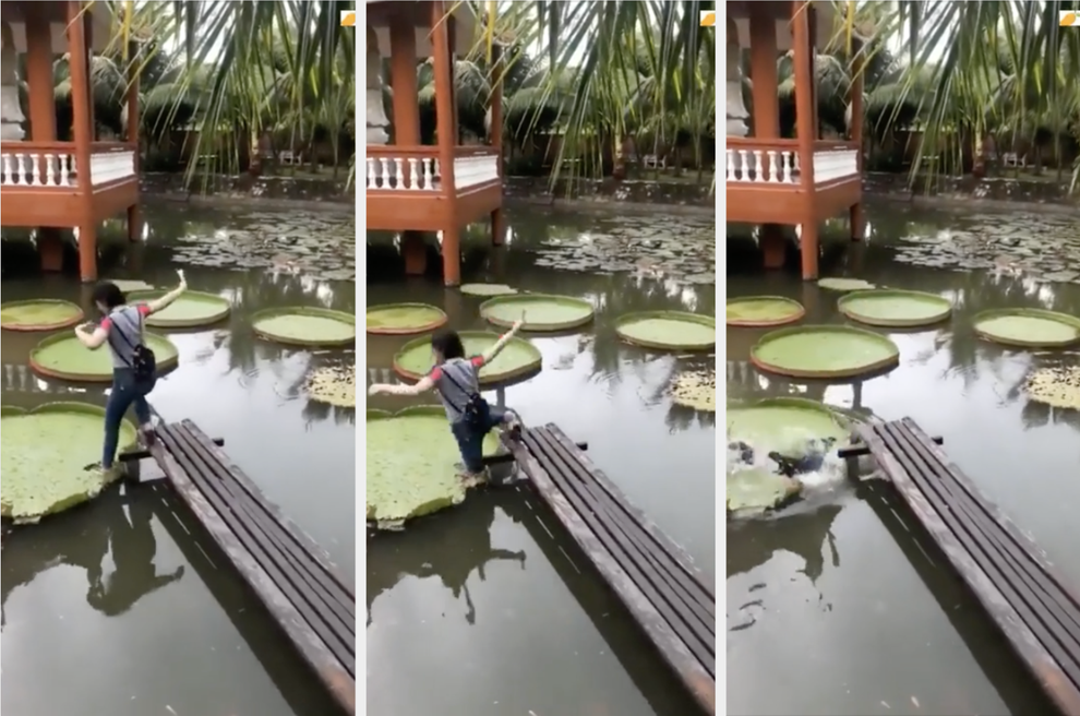 37 Hilarious Photos Of People Learning New Things