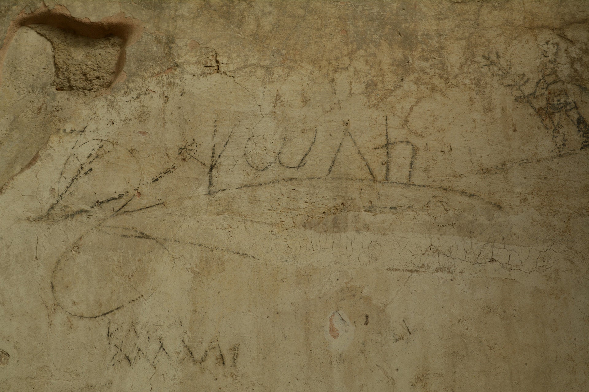 Phallic Graffiti Found In Ancient Roman Ruins