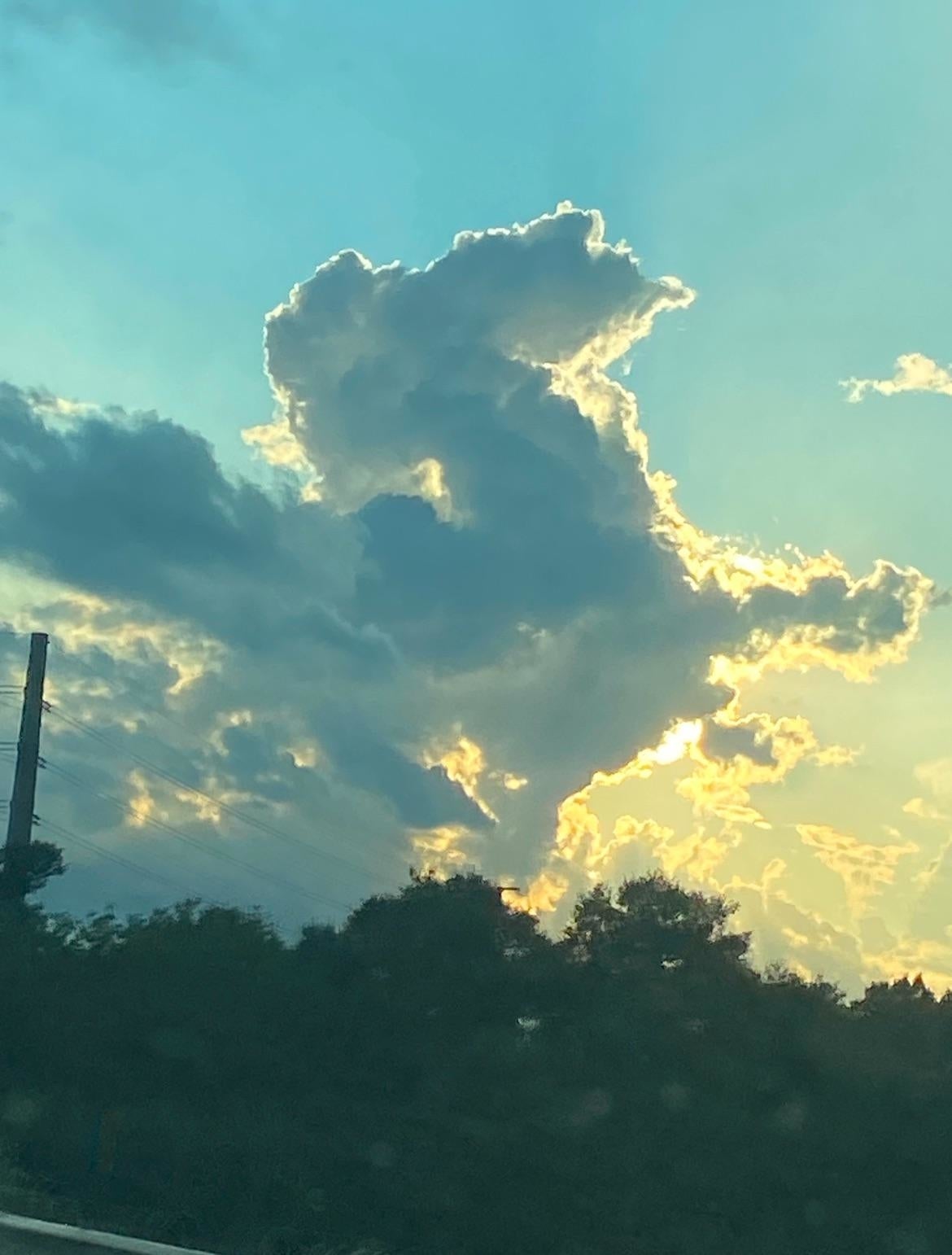19 Clouds That Look Like Things