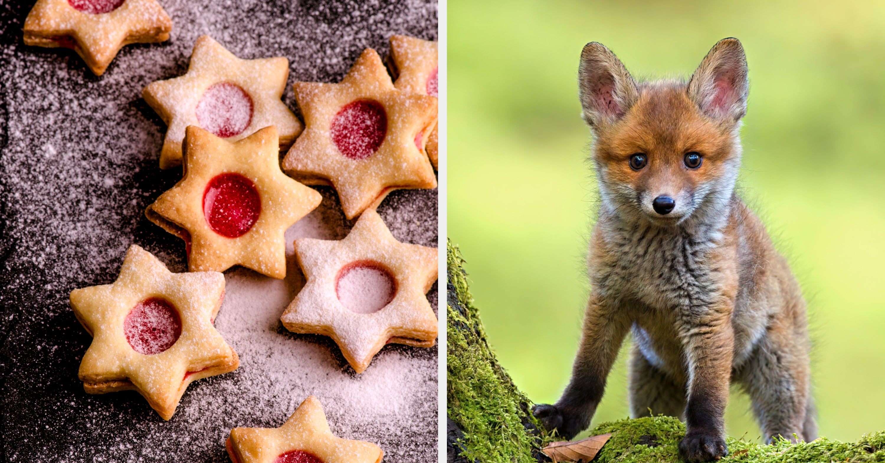 Munch On Some Food And I'll Tell You Which Animal You Are