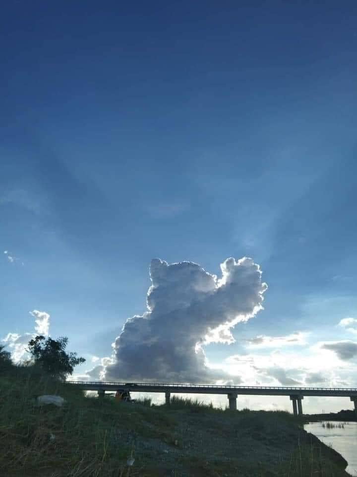 funny shaped clouds