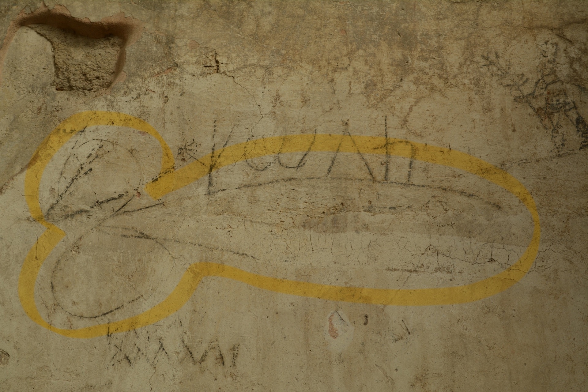 Phallic Graffiti Found In Ancient Roman Ruins