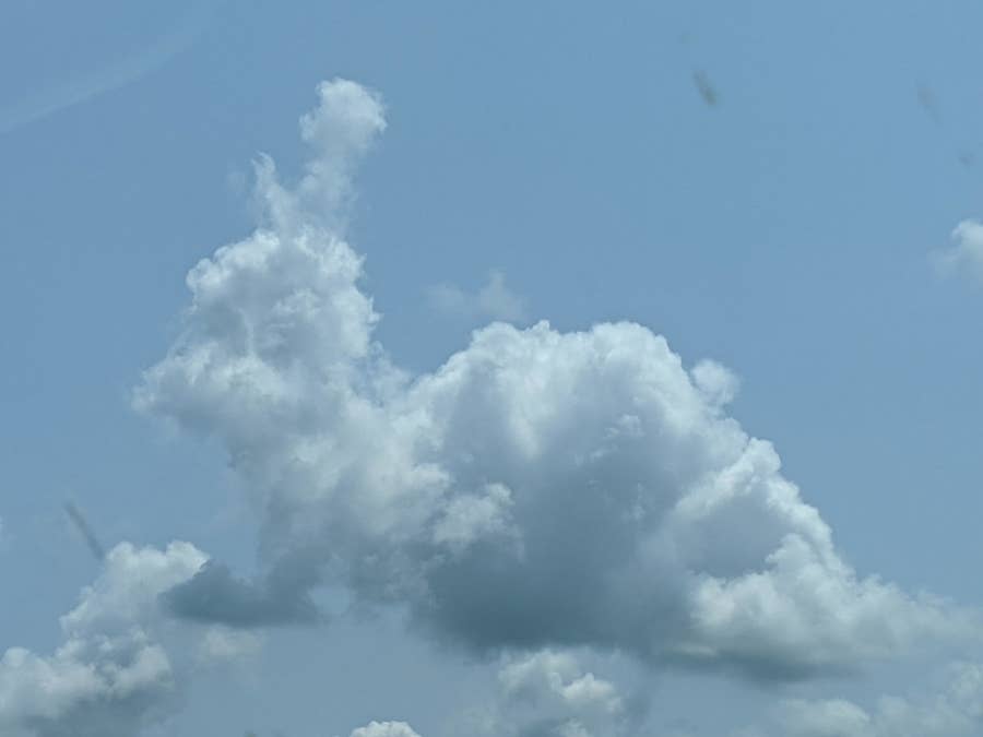 funny shaped clouds