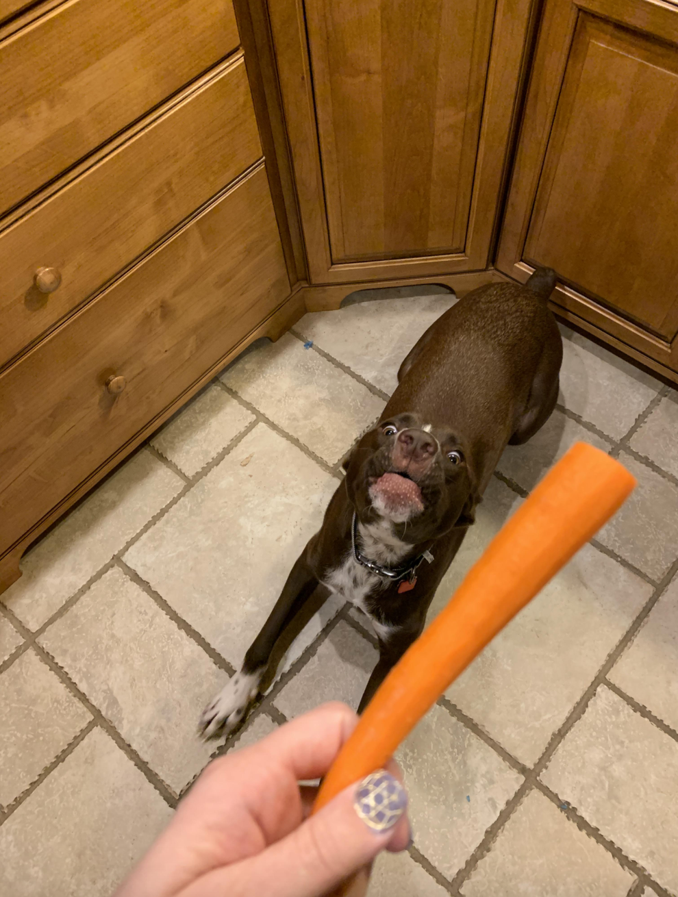 37 Hilarious Photos Of People Learning New Things