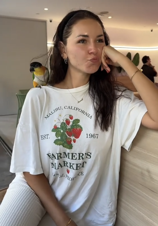 Anna Paul, Mikaela Testa TikTok Drama Explained