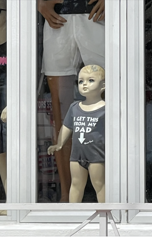 27 Dolts Who Wore Trashy Clothes In Public