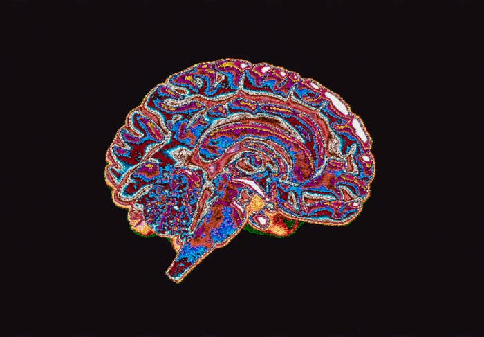 Psychological Brain Hacks And Tips