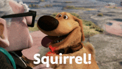 Name These Famous Pop Culture Dogs