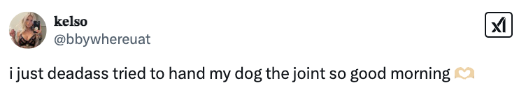 26 Funny Pet Tweets On The Internet