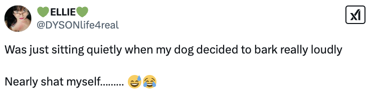 26 Funny Pet Tweets On The Internet