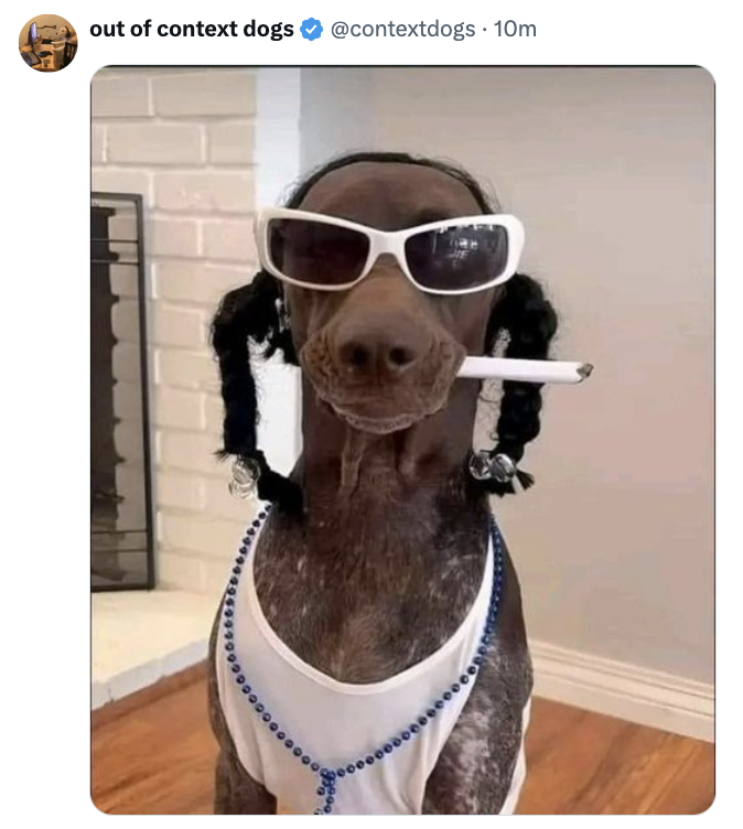 26 Funny Pet Tweets On The Internet