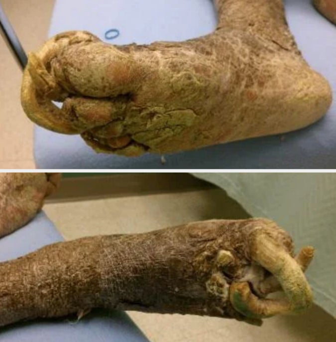 41 Jaw-Dropping Photos Of The Human Body