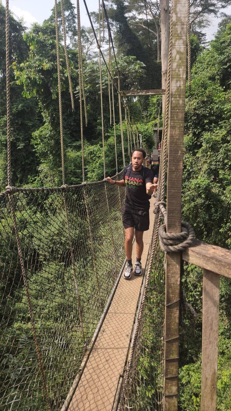 canopy walking