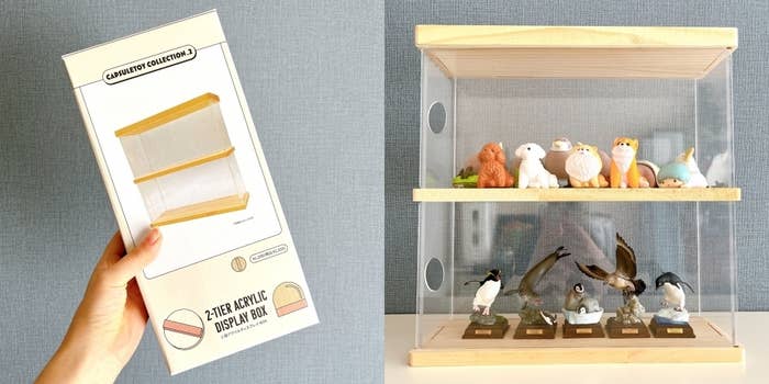 【3coins】「買って大正解でした」「追加で購入したい」カプセルトイを可愛く飾れる『見せる収納ボックス』ホコリがつきにくいのも嬉しい！《購入レビュー》