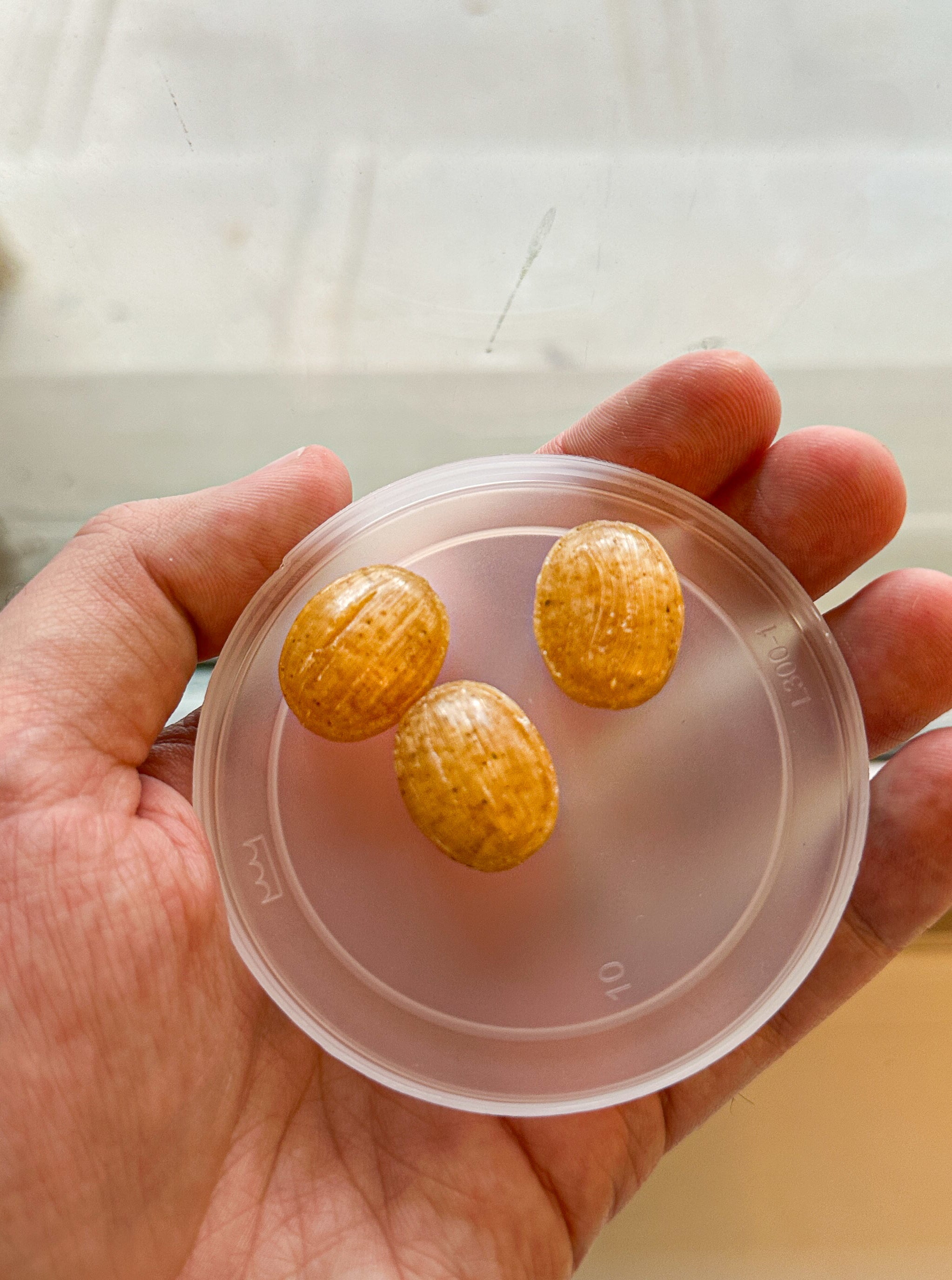 Progresso Soup Drops: Taste Test And Review