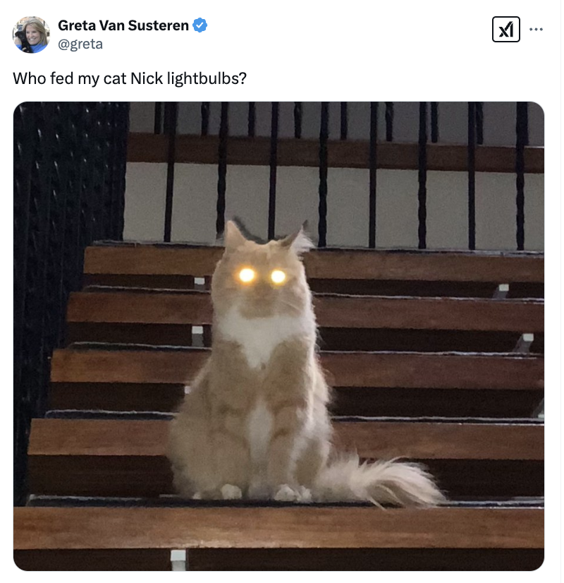 26 Funny Pet Tweets On The Internet