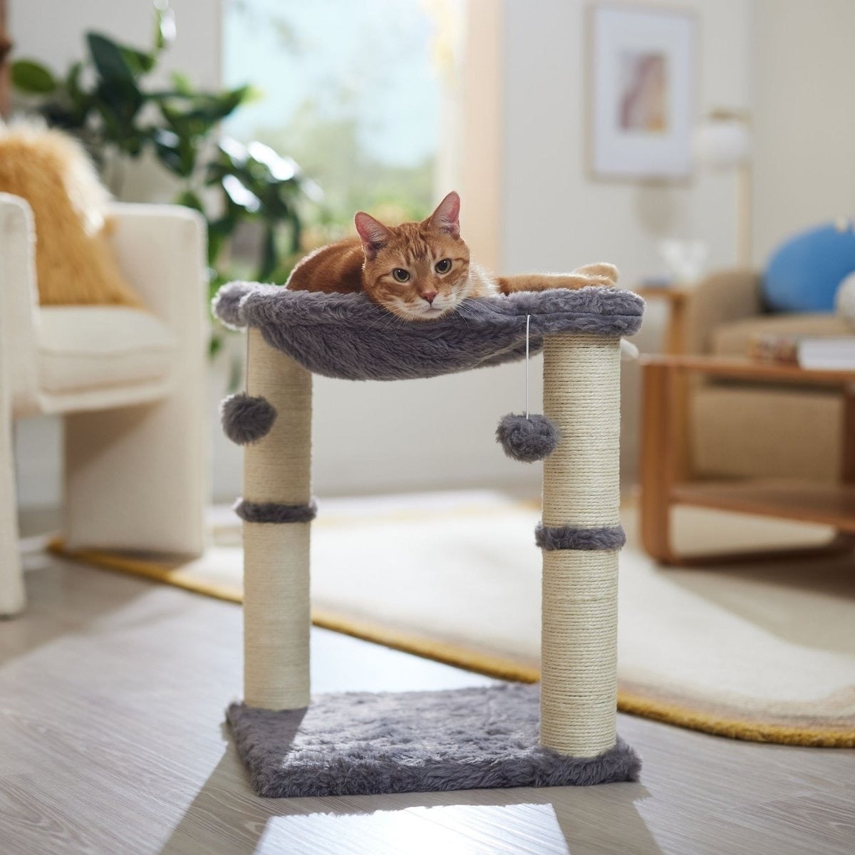 27 Things From Chewy Every Cat Parent Will Find Useful