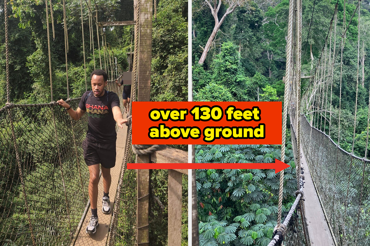 Here's What It's Like To Walk A Canopy Bridge More Than 130 Feet Above ...