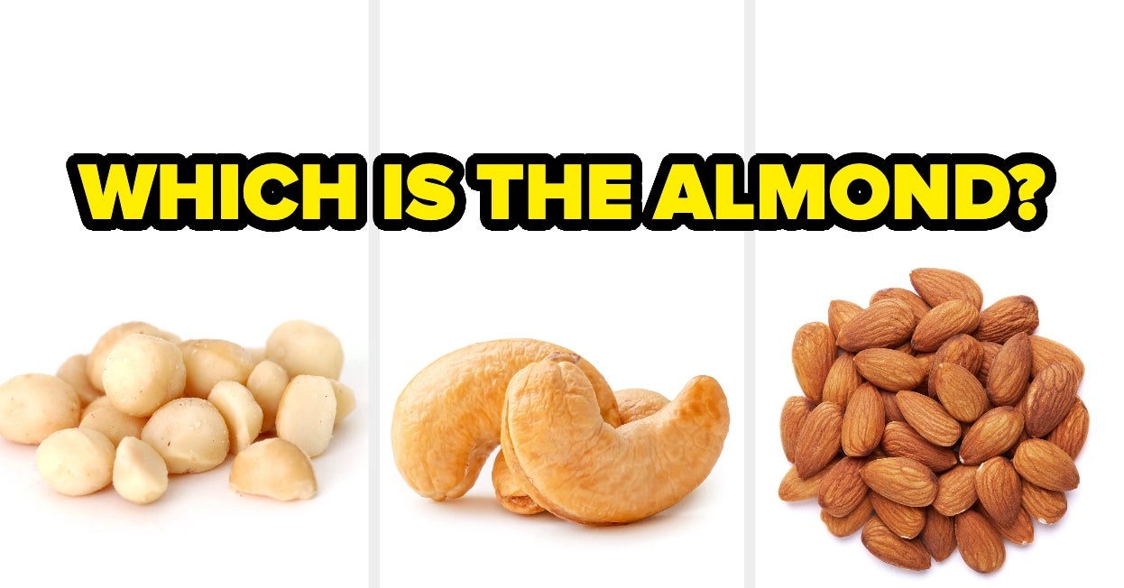 Nut Trivia Quiz