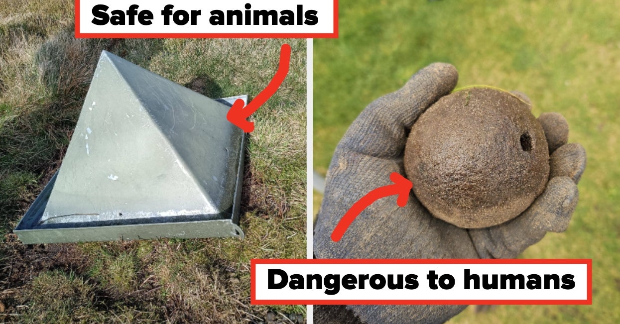 26 Weird Items Identified By People On The Internet