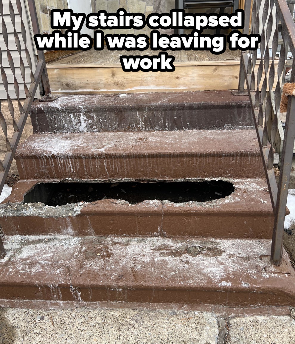 25 People Who Woke Up One Day Over The Past Week And Promptly Destroyed ...