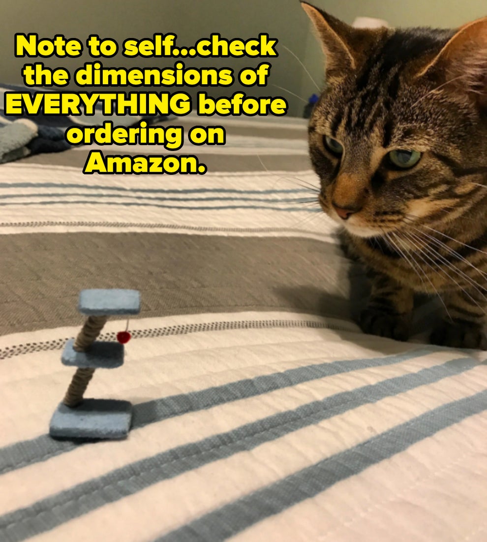 52 Hilarious Fails I Can't Help But Laugh At