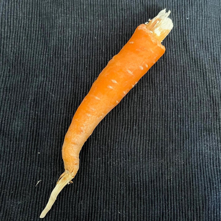 24 Terrifying Photos I Wish I'd Never Seen