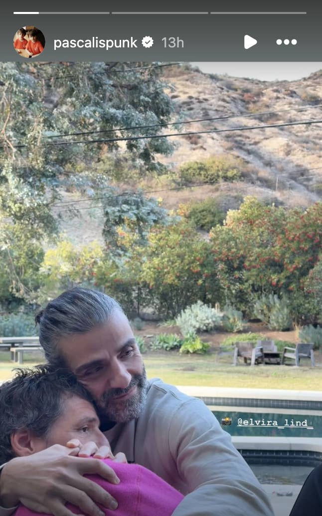 pedro pascal partner