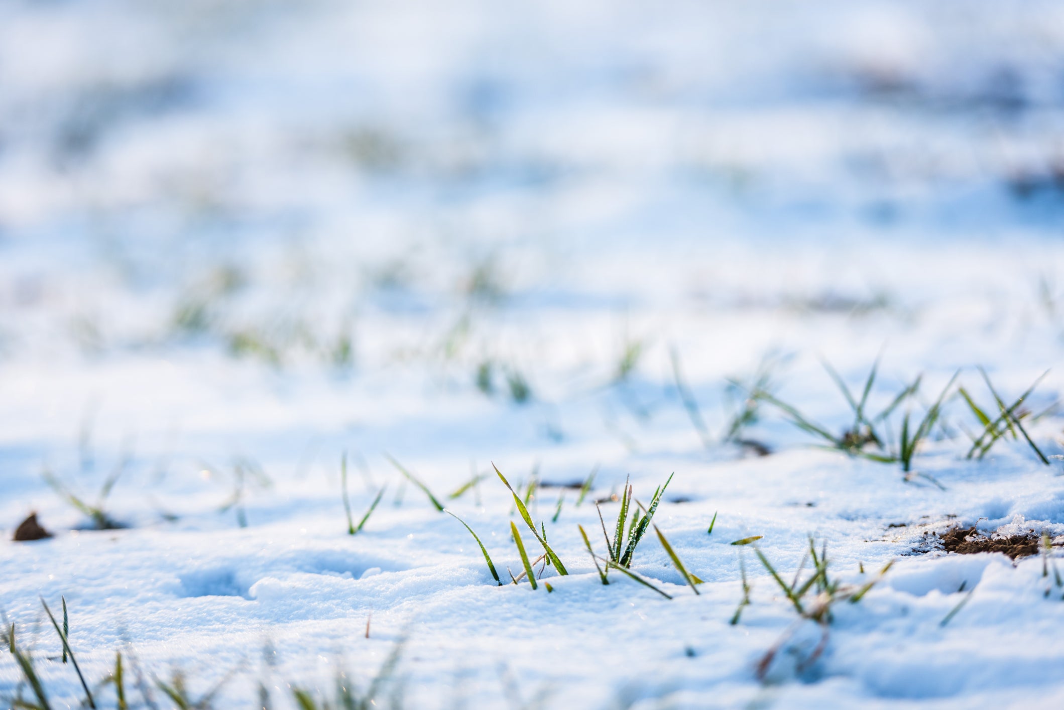 Older Adults Share Climate Change Impact On Life