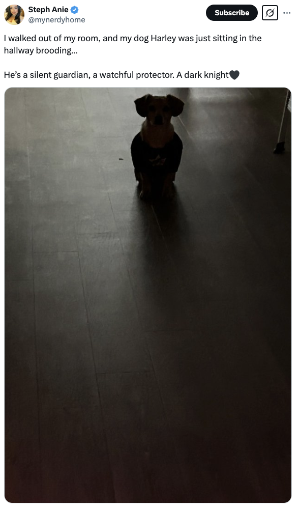 17 Funniest Pet Tweets On The Internet Last Week