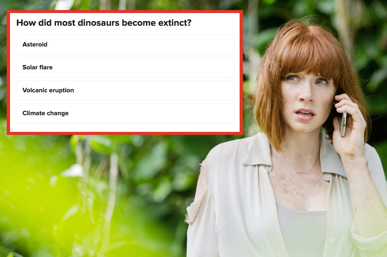 So You Think You Could Be A Paleontologist? Prove It By Acing This ...