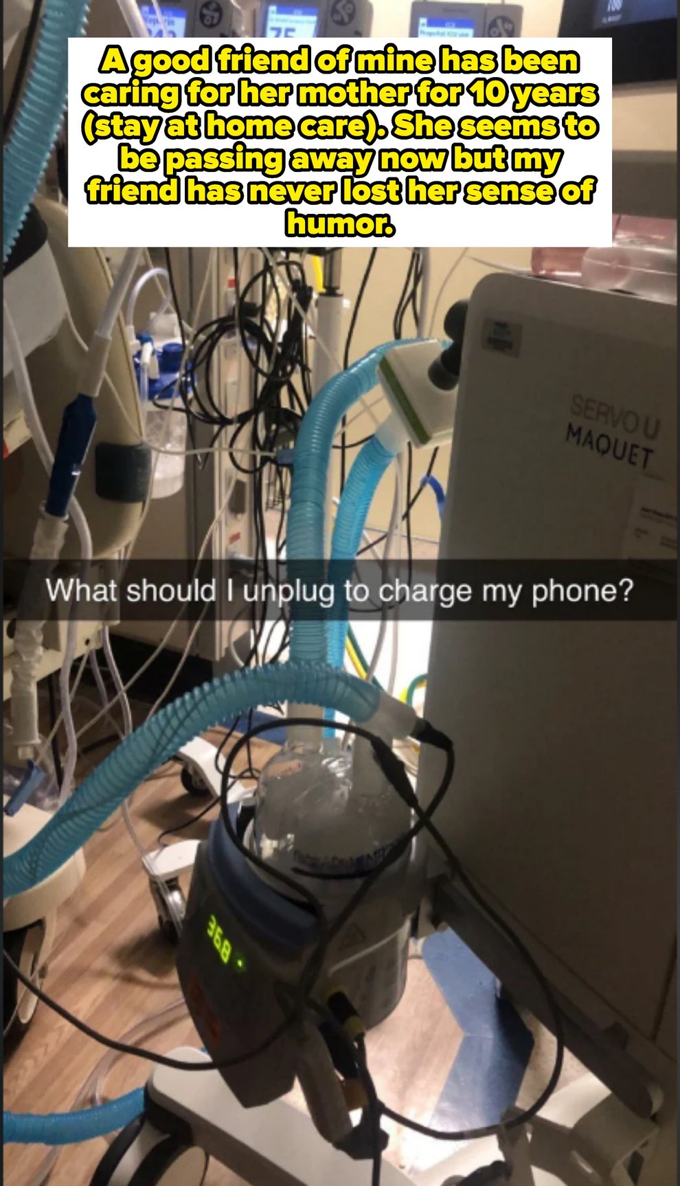 47 Hilarious Photos You *Might* Feel Guilty For Laughing At