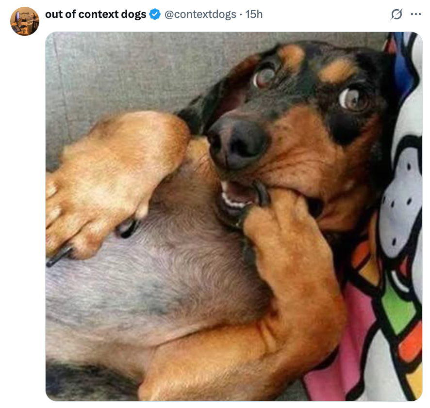 24 Hilarious Pet Tweets Online Last Week