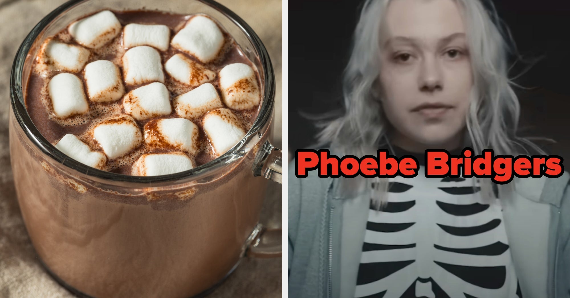 Which Indie Pop Artist Are You Quiz