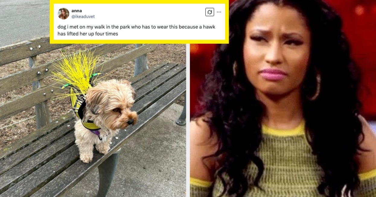 24 Hilarious Internet Fails From Last Week