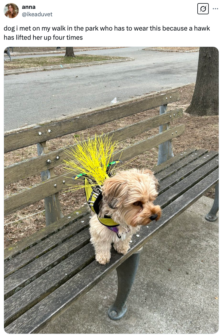 24 Hilarious Pet Tweets Online Last Week