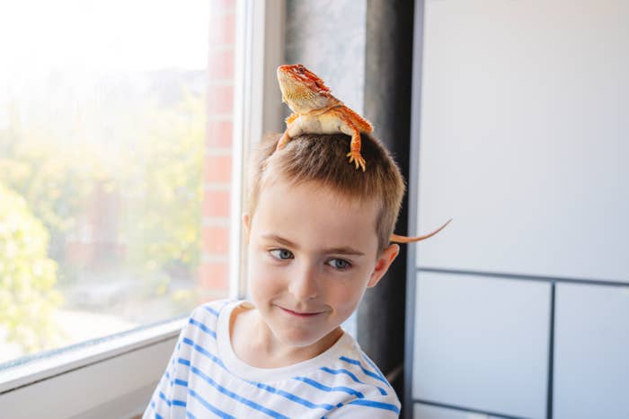 Bizarre Things Kids Took To School Add Yours