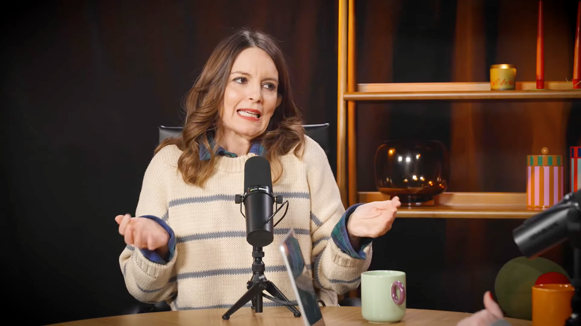 Tina Fey Criticized Rich People Who Have Side Hustles