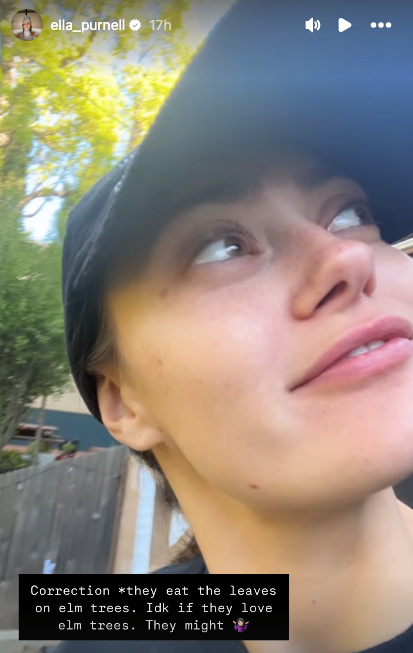 Ella Purnell Shares Caterpillar Infestation Videos