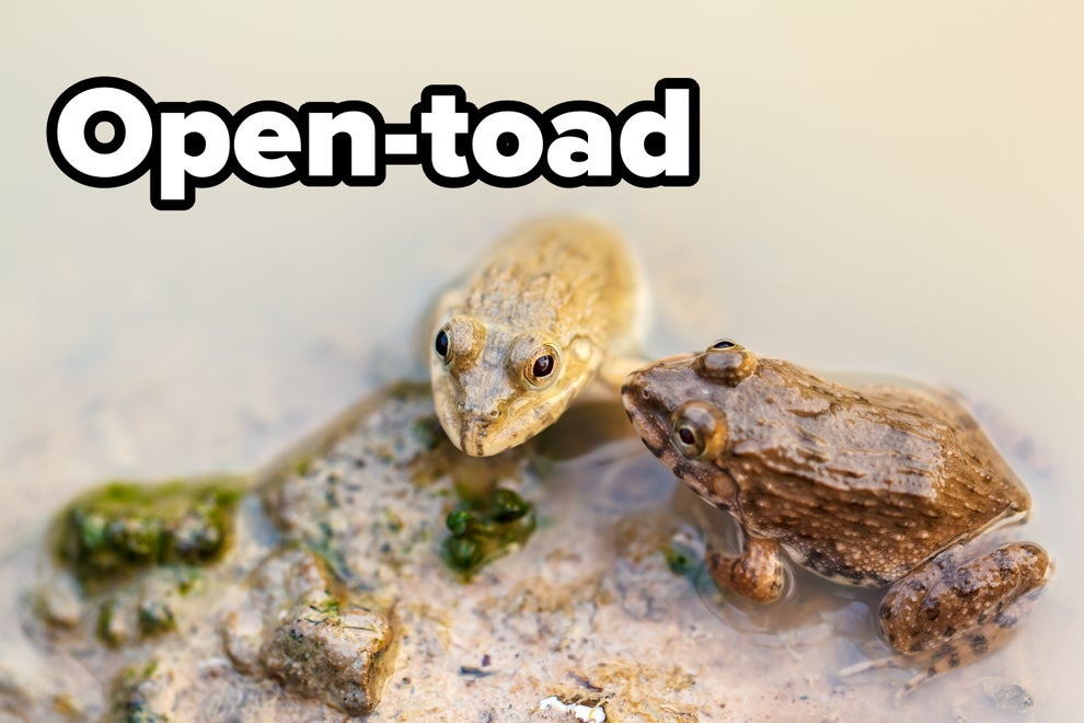 80 Funny Riddles With Answers For A Good Chuckle