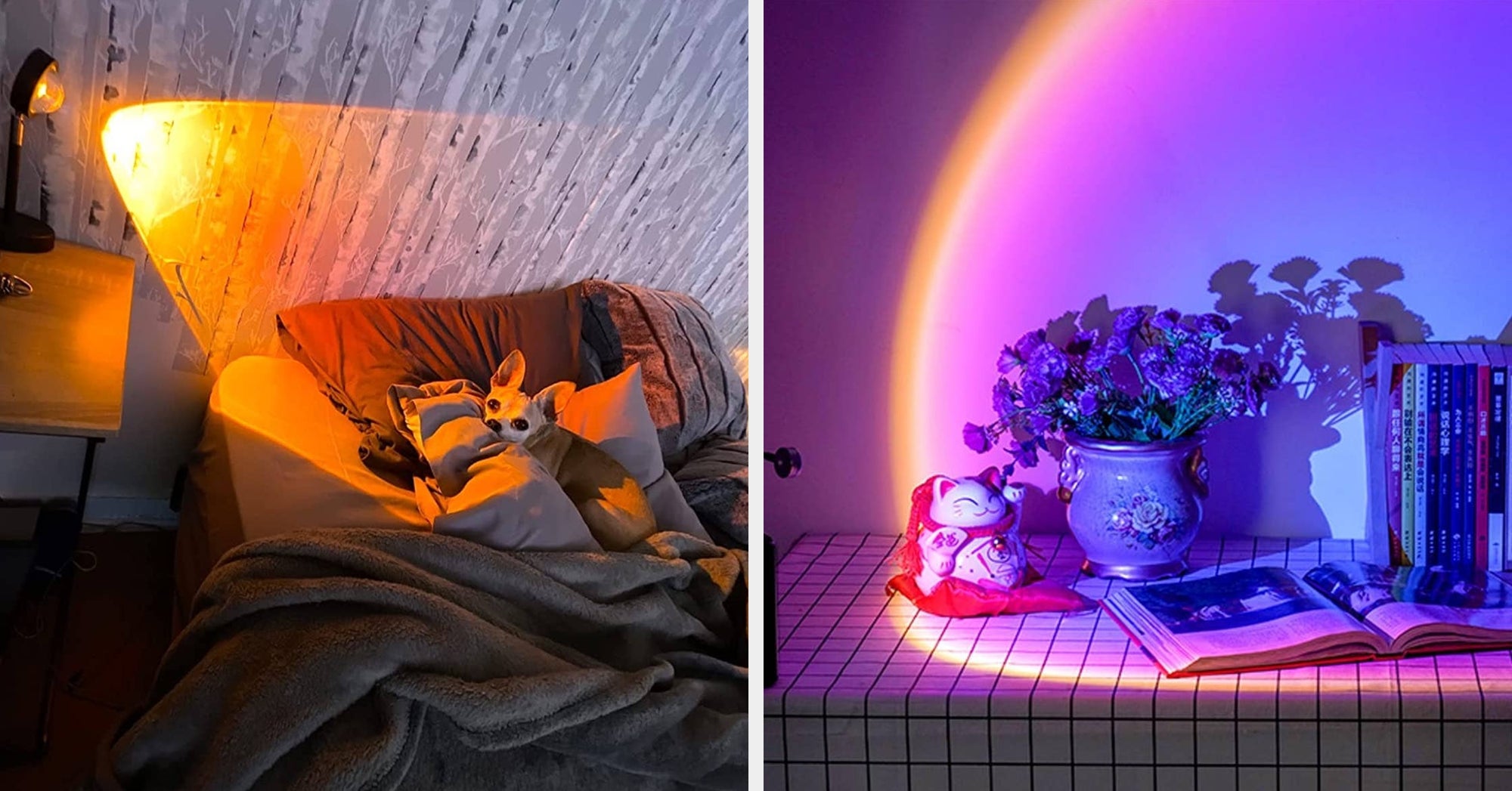 21 Best Sunset Lamps For That Late Afternoon Glow