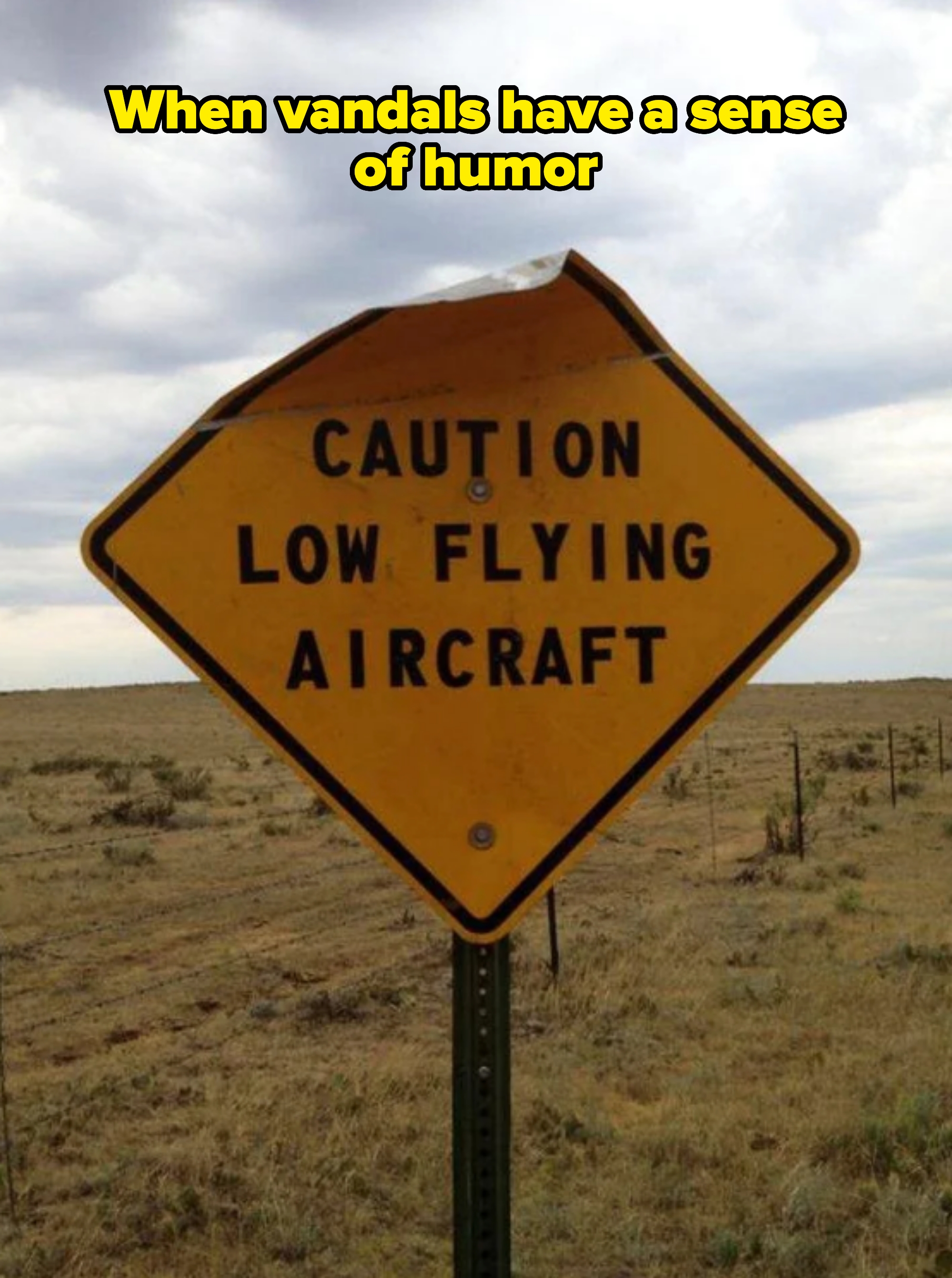 54 Funny Photos That Made Me Laugh Despite Everything