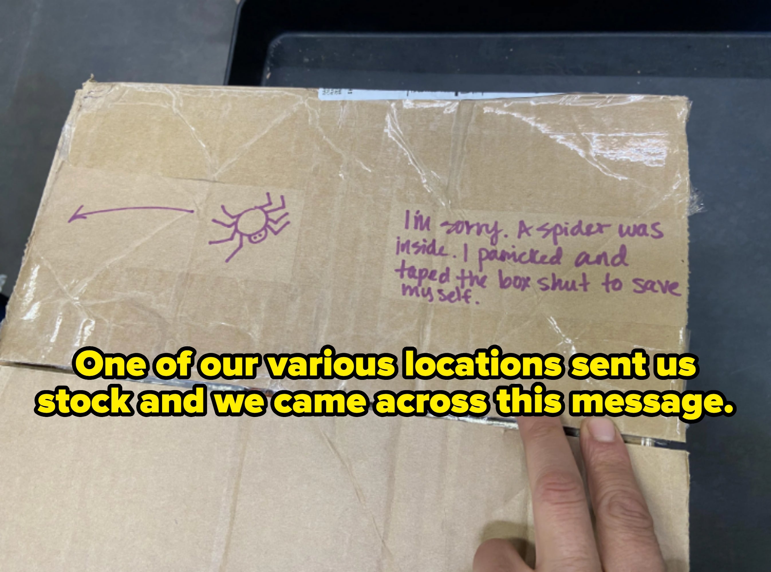 54 Funny Photos That Made Me Laugh Despite Everything