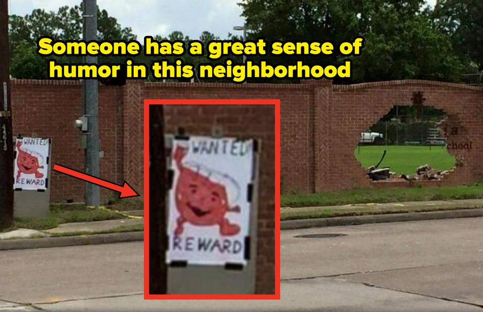54 Funny Photos That Made Me Laugh Despite Everything