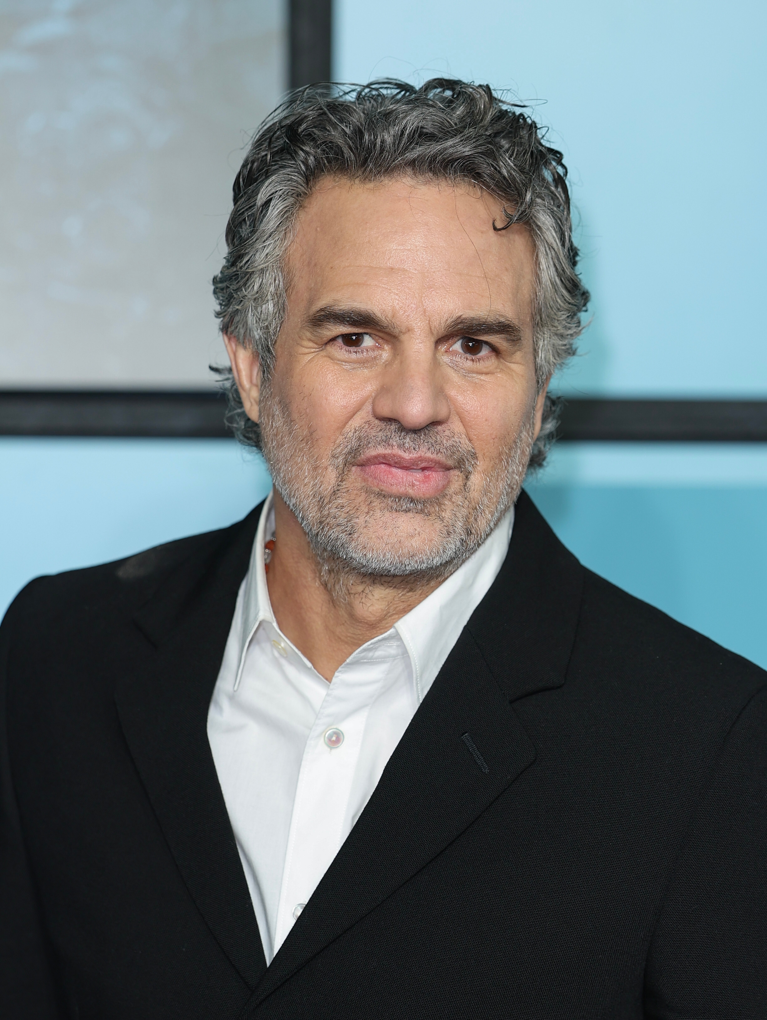 Mark Ruffalo On No Other Land Hamdan Ballal Attack