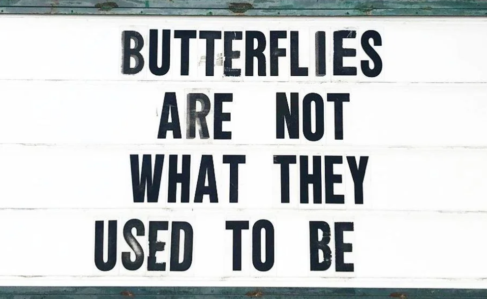 Weekly Roundup: 20 Absurdly Funny Signs You Need To See
