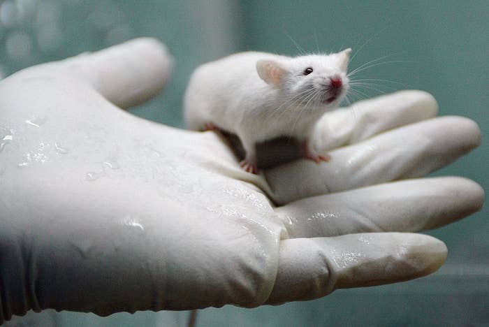 11 Shocking Science Experiments No One Talks About