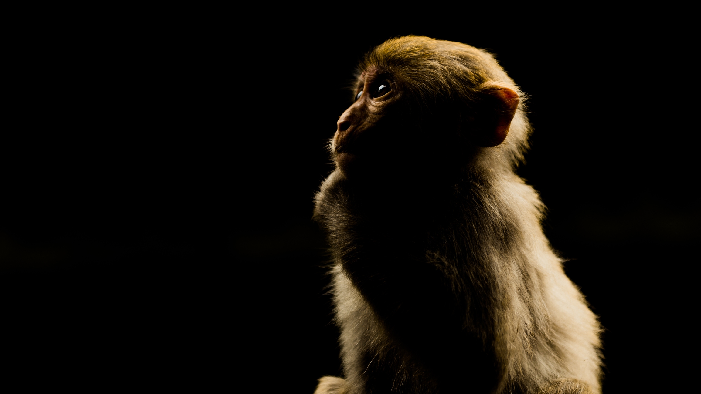 11 Shocking Science Experiments No One Talks About