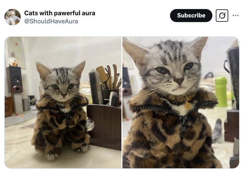 19 Funny Pet Tweets On The Internet This Week